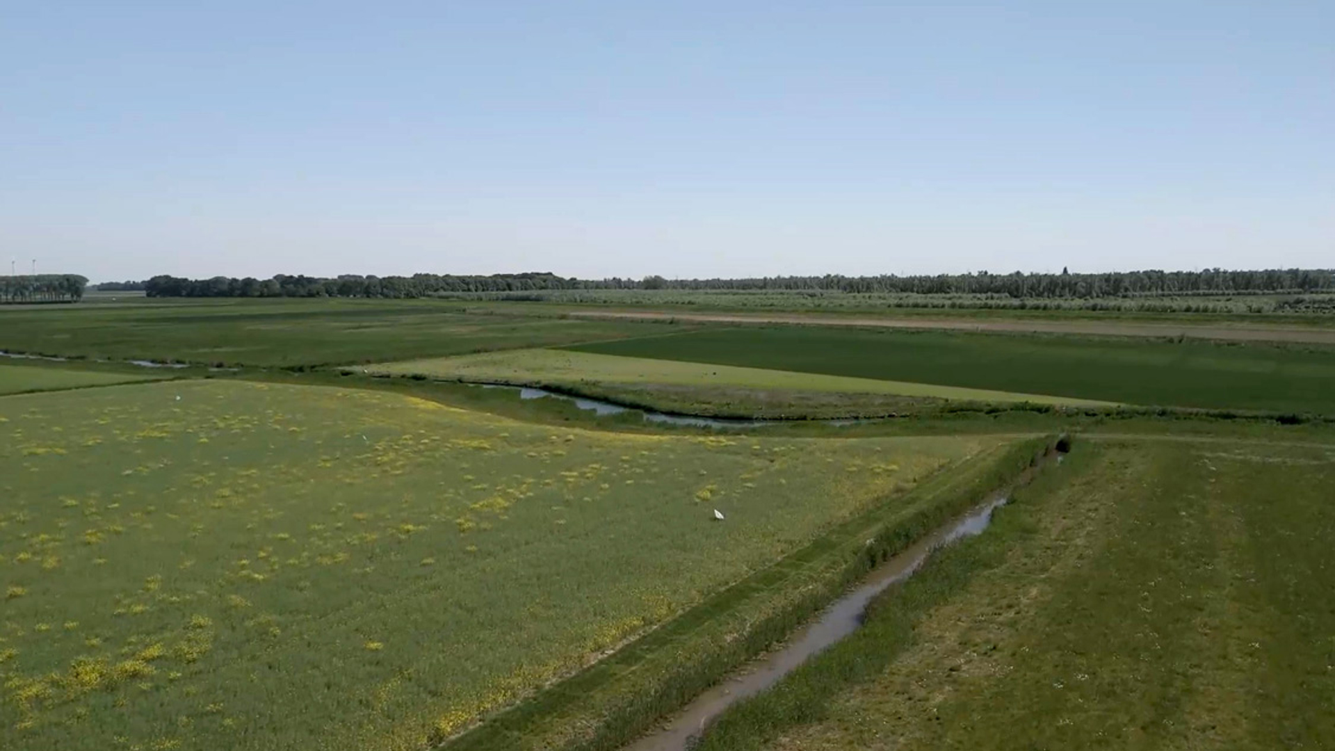 Dezelfde opbrengst zonder pesticiden - Vroege Vogels - BNNVARA