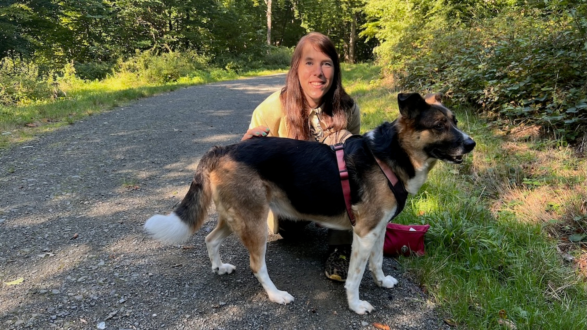 Muizenleven: wat we van muizen kunnen leren | Nominatie ...