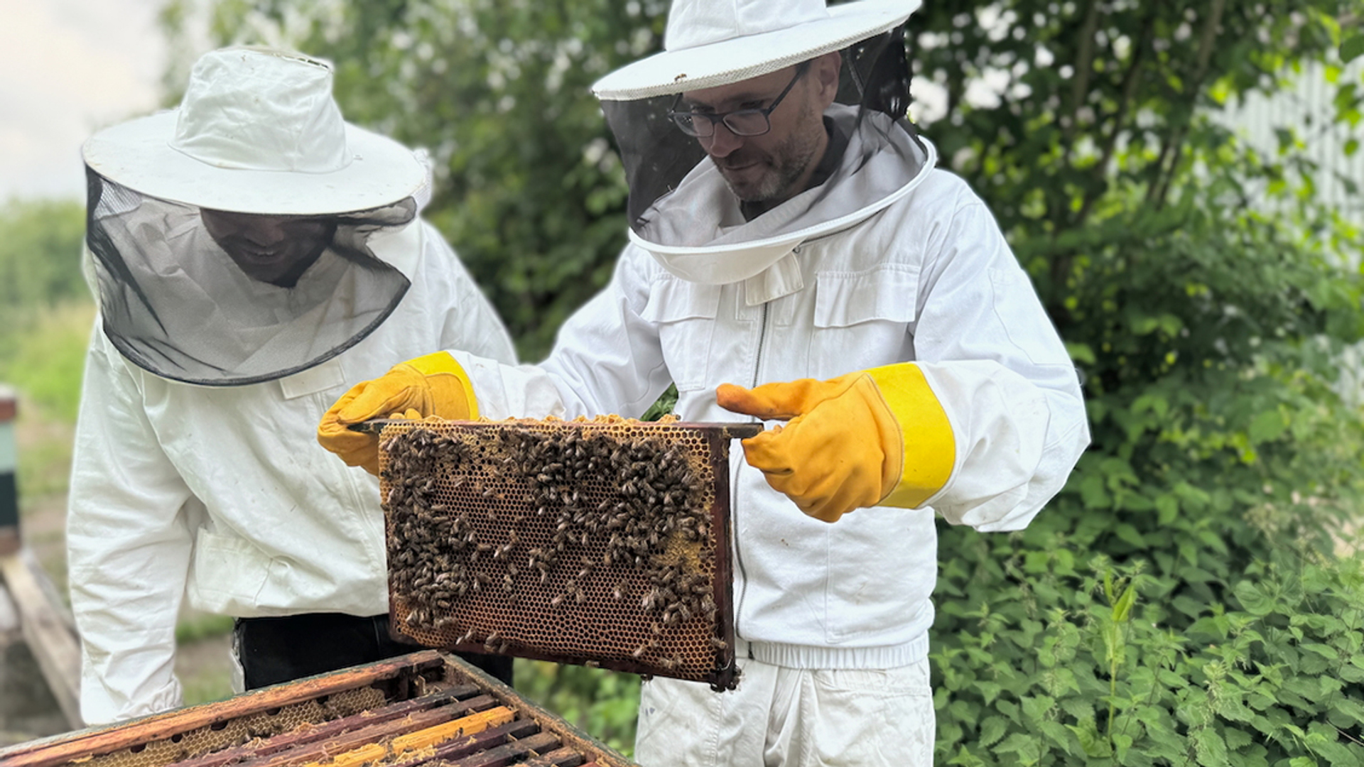 Dokters van nature van Jaap de Roode | Nominatie Natuurboekenprijs 2025 - Vroege Vogels - BNNVARA