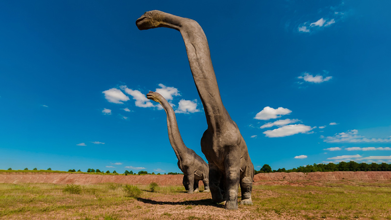 Grootste dinosaurussoorten ooit ontdekt in Argentinië - Vroege Vogels ...