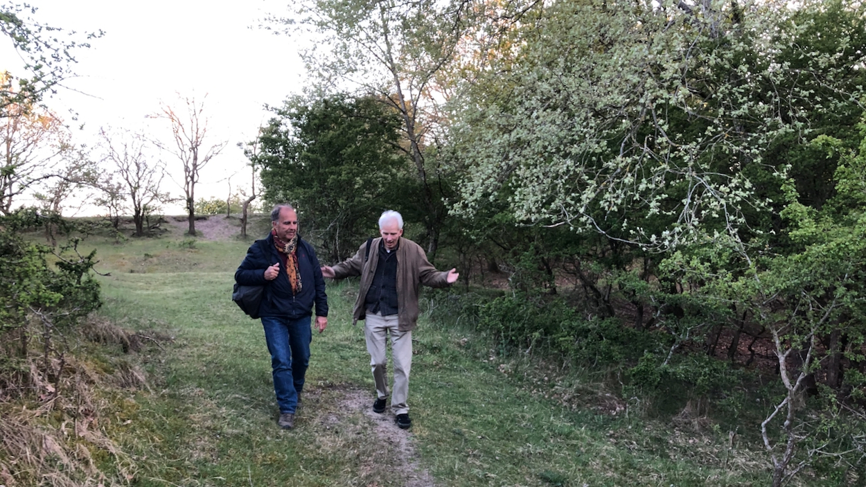 Van den 'slimme' vos Reynaerde - Vroege Vogels - BNNVARA