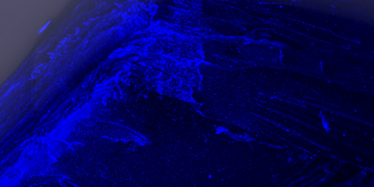 Microben dalen niet met plastic deeltjes af in de diepzee - Vroege ...