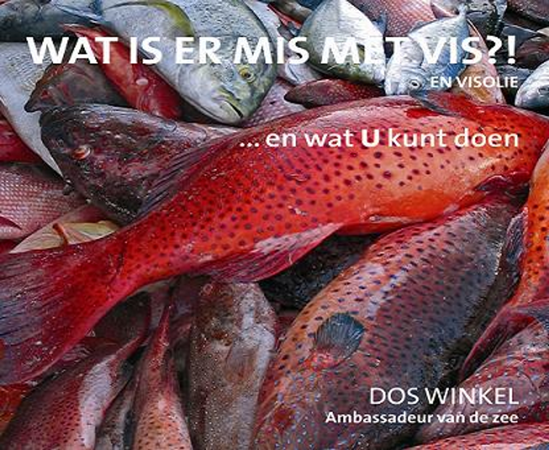 Wat is er mis met vis? - Vroege Vogels - BNNVARA
