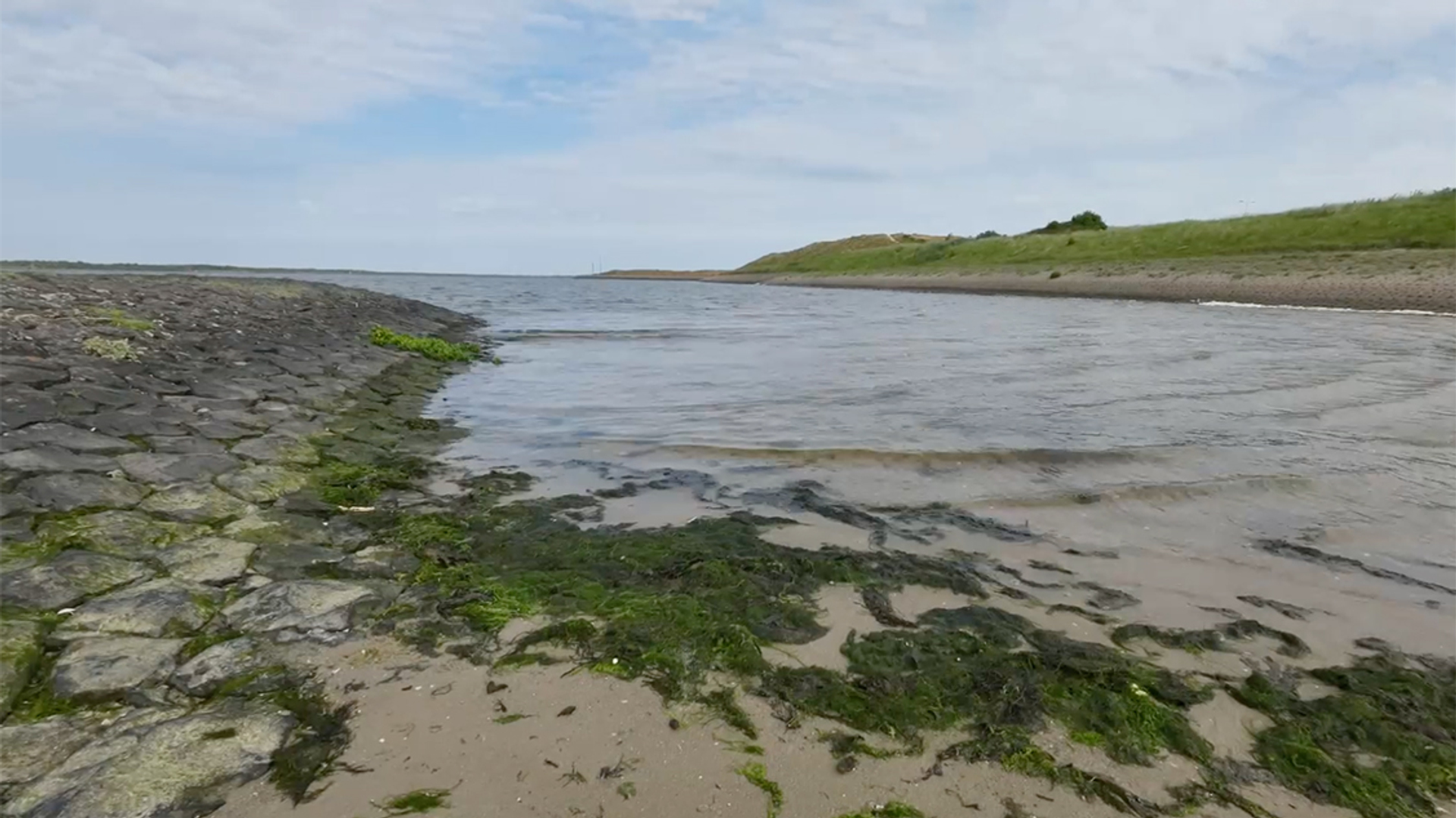 Wat als het wad te warm, te zout of te nat wordt? - Vroege Vogels - BNNVARA