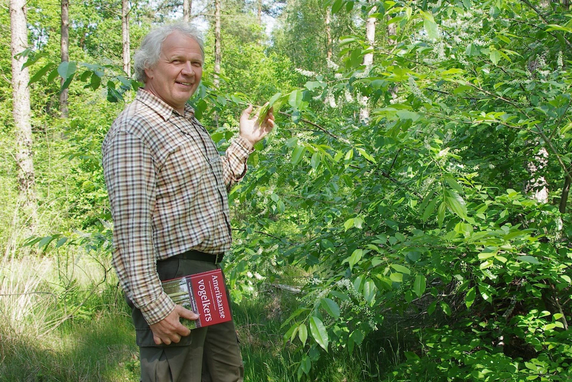Bospest of bosboom? - Vroege Vogels - BNNVARA
