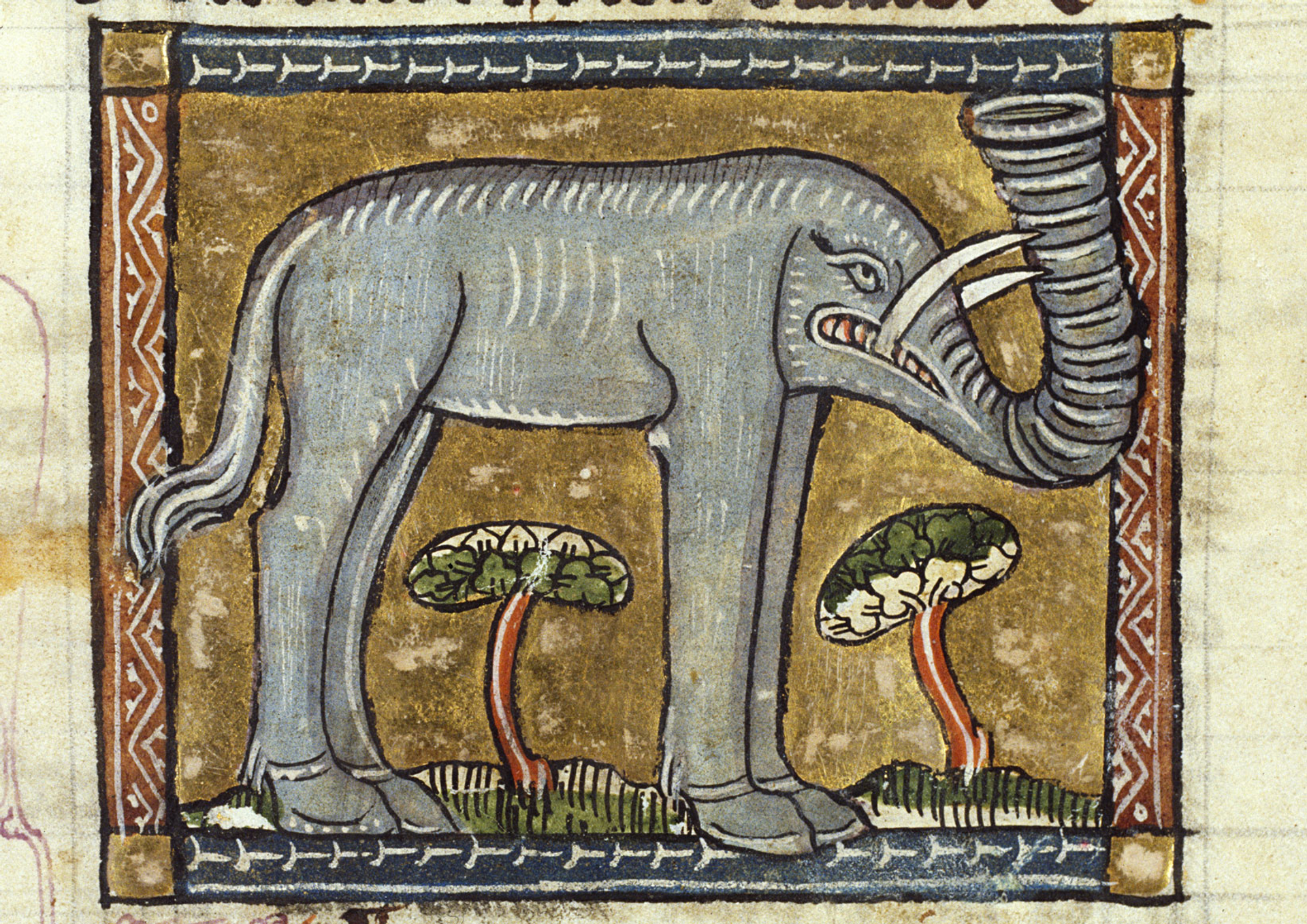 Der Naturen Bloeme, natuur van de middeleeuwen - Vroege Vogels - BNNVARA