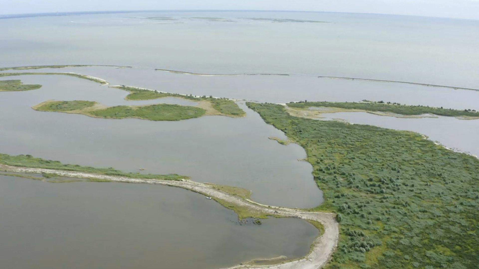 Trintelzand: een nieuw natuurgebied van slib en zand - Vroege Vogels ...